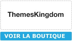 Themes Kingdom - Présentation boutique Wordpress